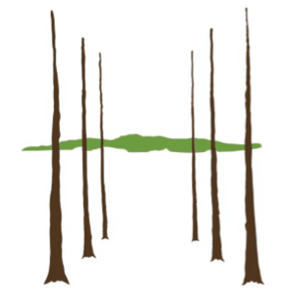 The Trails – Friends of Harbison State Forest